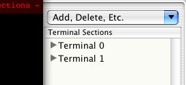 Terminal Editpr